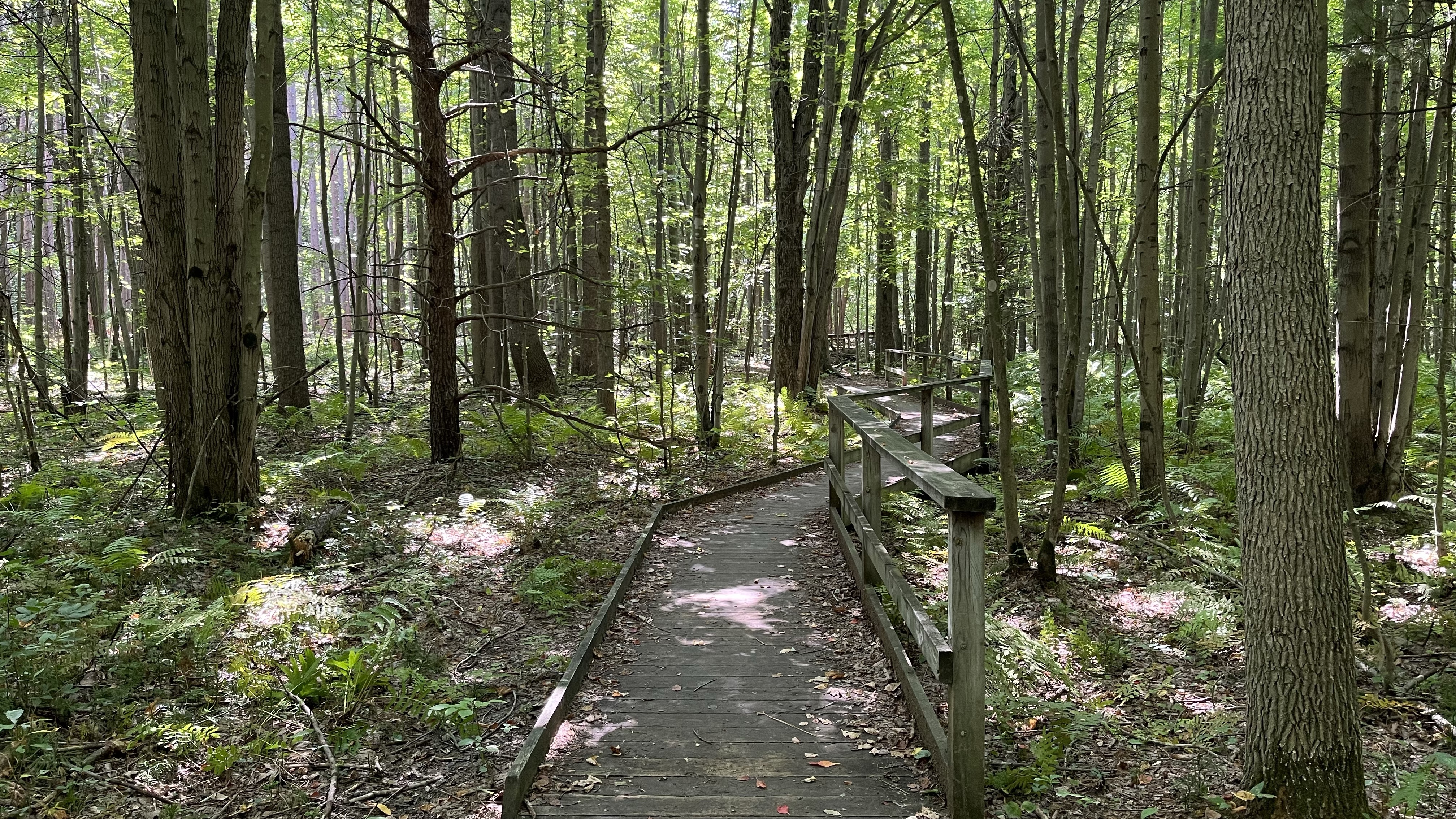 Farview Nature Park – Chris Clark